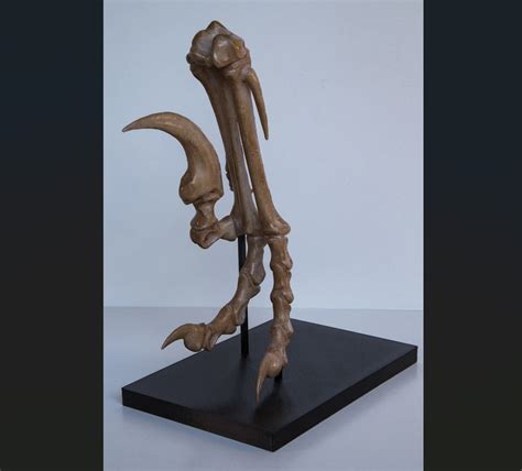Velociraptor Foot And Stand Life Sized Replica Including Display Base