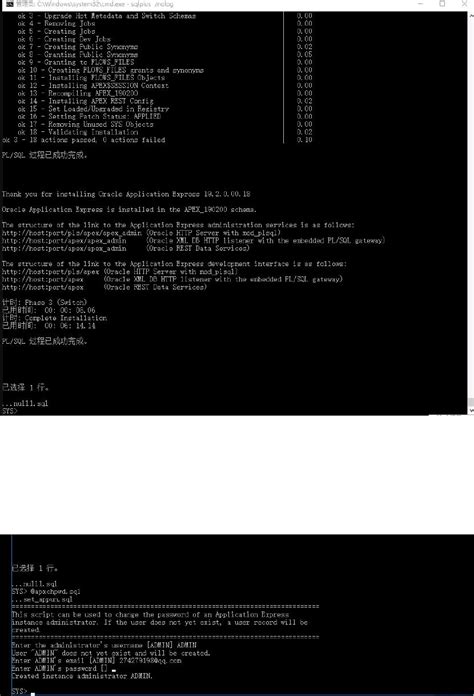 Apexwindowsserver中安装 墨天轮文档