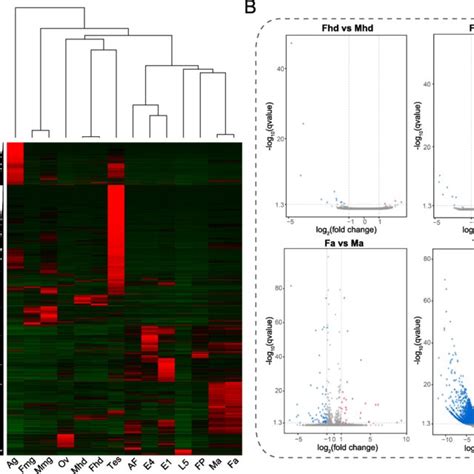 Discrete Expression Pattern And Tissue Specificity Of Lncrnas In C