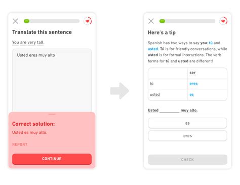 How Weve Improved The Duolingo Learning Experience This Year And A Sneak Peek Toward