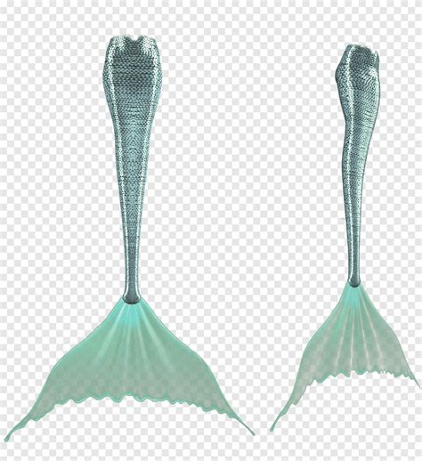무제한 인어 꼬리 04 인어 지느러미 Png Pngegg