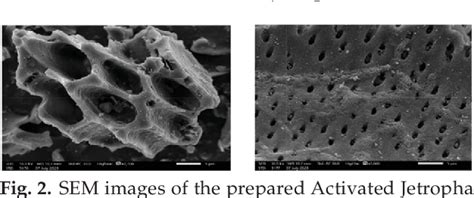 Figure 2 From Biosorption Of Hexavalent Chromium From Aqueous Solution