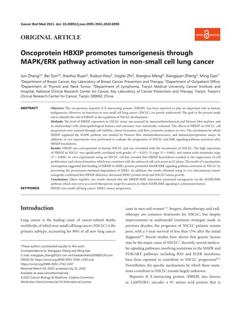 Pdf Oncoprotein Hbxip Promotes Tumorigenesis Through Mapkerk Pathway