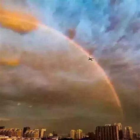 Abm 基于abm的公共政策研究 困难及挑战 知乎