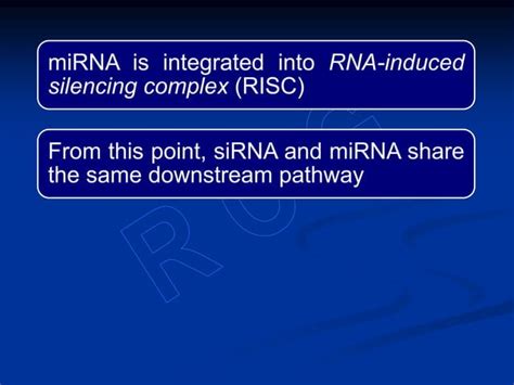 Rna Interference Ppt