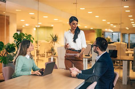 자신감 있는 여성 고용주는 회의 중에 동료들에게 새로운 사업 계획을 제시합니다 25 29세에 대한 스톡 사진 및 기타 이미지