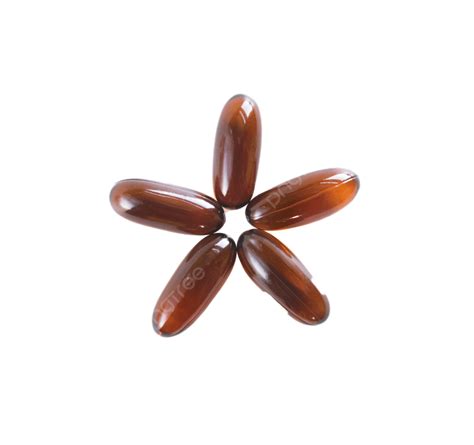 Gambar Kapsul Biji Png Vektor Psd Dan Clipart Dengan Background Transparan Untuk Download