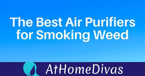 Ifd Vs Hepa Filters For Air Purifiers Differences At Home Divas