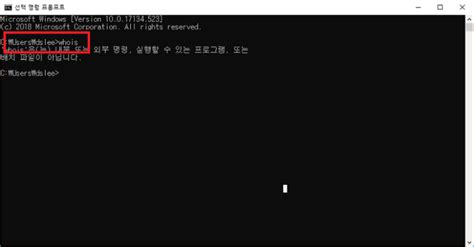 Cmd에서 Whois 명령어 사용하는 방법 이호