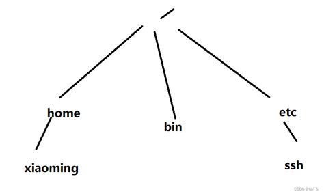 Linux文件类型和根目录结构查询根目录后怎么知道是什么文件类型 Csdn博客