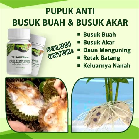 Jual Alfagreen Tricoderma Harzianum Fungisida Trichoderma Fungisida Organik Trikoderma