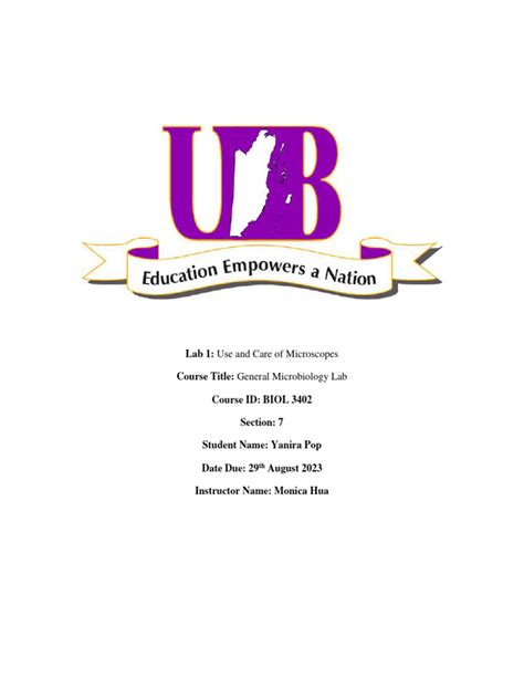 Lab Report For Lab 1 Template Pdf