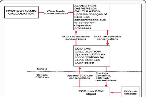 Flow Chart Of Hydrodynamic Model And Eco Lab Mike21 Model Download