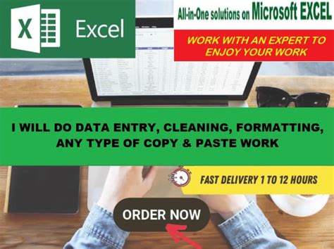 Be Your Microsoft Excel Expert For Data Entry Cleaning Formatting