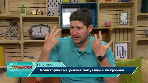 НАША УТРИНСКА ТЕМА Мониторинг на улична популација на кучиња Војислав Димитровски Youtube