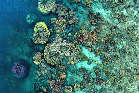 Protecting Our Oceans