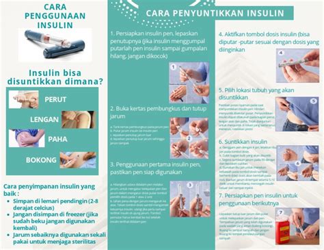 Cara Penggunaan Insulin Pdf