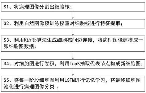 一种基于多阶段信息抽取和记忆的病理图像分类方法
