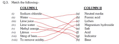 Study Notes For Delhi Public School Acids Bases And Salts CBSE Class Important Question And