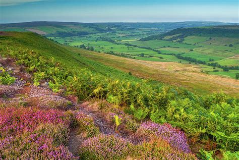 North York Moors National Park Photograph By David Ross Fine Art America