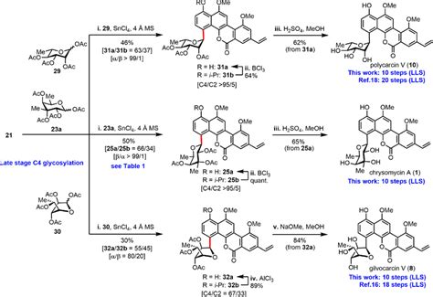 Total Syntheses Of Chrysomycin A Polycarcin V And Gilvocarcin V Download Scientific Diagram