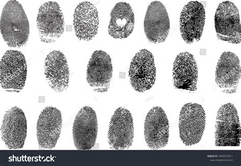 Fingerprint Biometric Vector Police Thumb Thumbprint Stock Vector