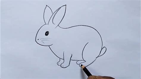 How To Draw Rabbit Drawing Easy Step By Step Drawingtalent Youtube
