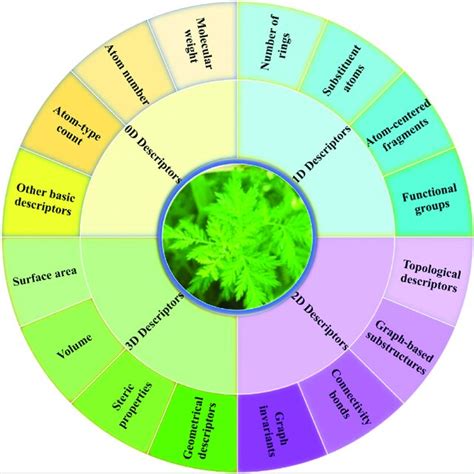 Summary Of Molecular And Structural Representation Schemes Download Scientific Diagram