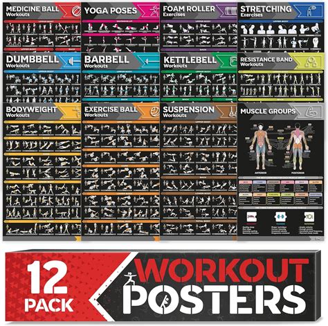 12 Pack Laminated Large Workout Poster Set Perfect Workout Posters