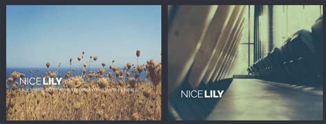 Great Css Hover Effect Libraries And Code Snippet Onaircode