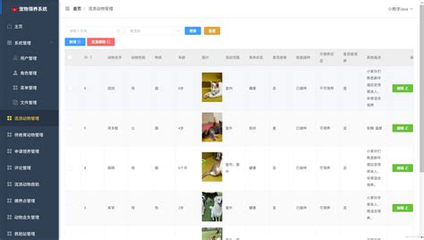 基于spring Bootvue的宠物领养系统51cto博客宠物领养管理系统