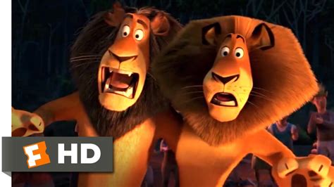 Madagascar 2 Zuba