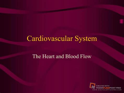 Ppt Cardiovascular System Powerpoint Presentation Free Download Id