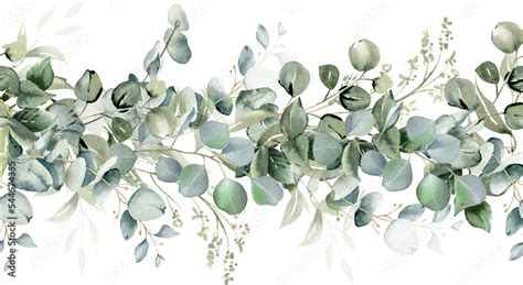 Photo And Art Print Eucalyptus Leaves Seamless Border Nataliya Kunitsyna