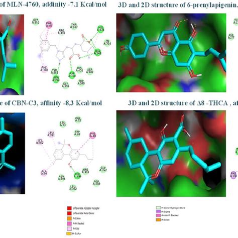 List Of Cannabinoid Classes Identified In C Sativa 8 Download Scientific Diagram