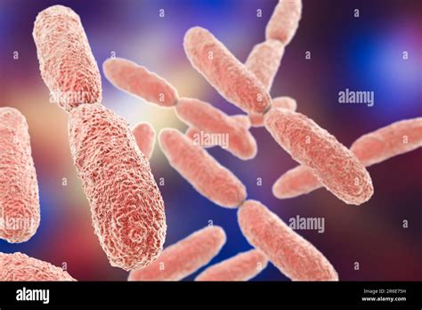 Klebsiella Pneumoniae Bacteria Computer Illustration K Pneumoniae