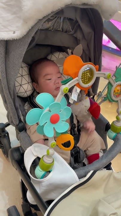 쇼핑몰에 입성한 아기 복서 Youtube