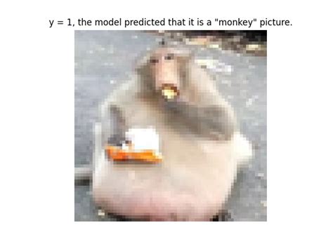 GitHub Nick Kann MonkeyVsGorilla NeuralNetwork A Binary Classification Machine Learning Model