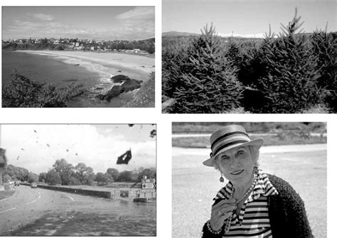 Figure 1 From The Use Of The Regression Discontinuity Design In Tiered