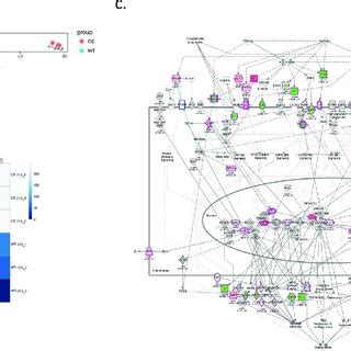 Differential Gene Expression Sequence A Principle Component Analysis