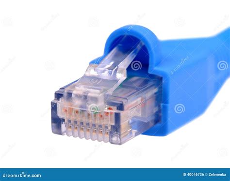 Blue Utp Cat Network Cable Isolated On White Background Stock Photo Image Of Plug Closeup