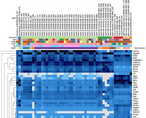 Calb1 Reproductive System Gene Expression