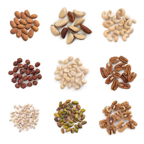 Tree Nuts List Nutrition Refined