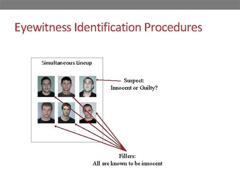 Eyewitness Identification Procedures Simultaneous Lineup Suspect Innocent Or