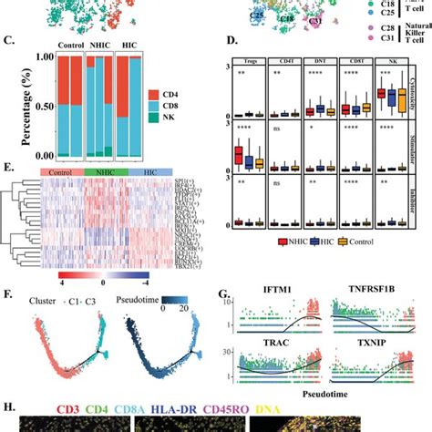 Pseudotime Analysis Of Macrophage Cells By Using Rna Velocity Download Scientific Diagram