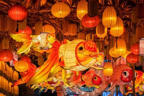 正佳广场赏鱼灯攻略