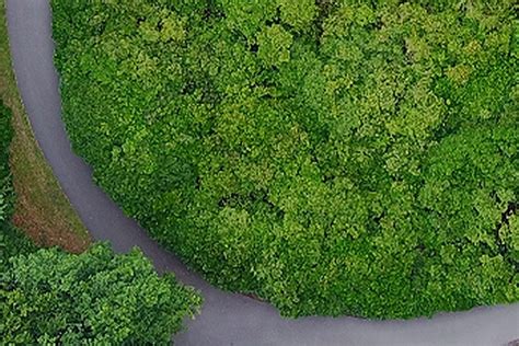 Building A Data Driven Culture Through Data Literacy Deloitte Uk