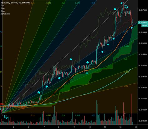 Fib Speed Resistance Fan Lesson For Binanceltcbtc By