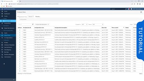 Creating New Data Schema With Sas Risk Stratum Sas Video Portal