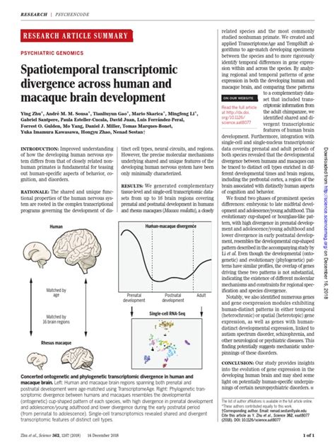 Spatiotemporal Transcriptomic Divergence Among Human And Macaque Brain Development Pdf